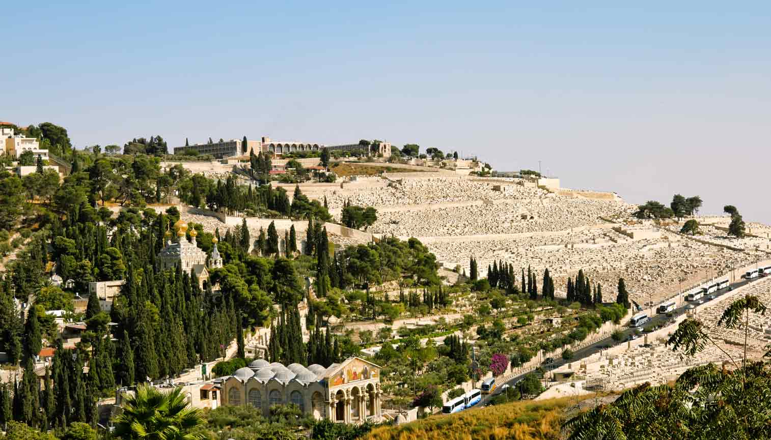 Holy Land - George's International Tours